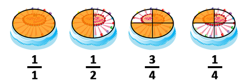 Simple fractions - Examples, Exercises and Solutions | Tutorela