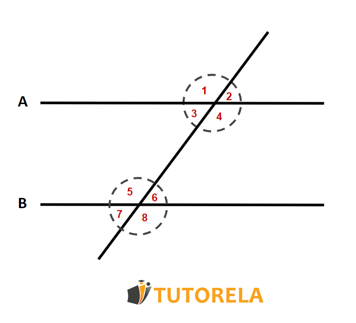 Angles In Parallel Lines | Tutorela