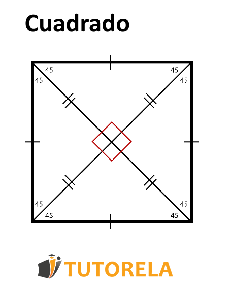Square | Tutorela